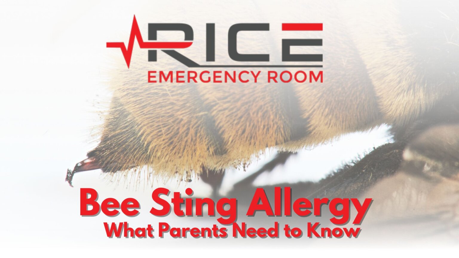 Bee Sting Allergy: A Parent's Guide